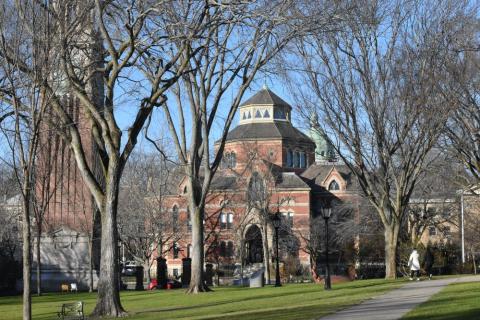 Rubenstein Receives the 2022 Brown Early Career Research Award | The ...