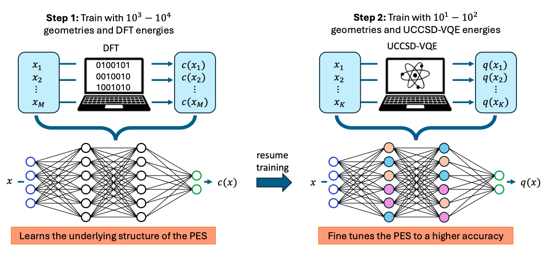 Quantum Hardware Enabled Molecular Dynamics Via Transfer Learning The